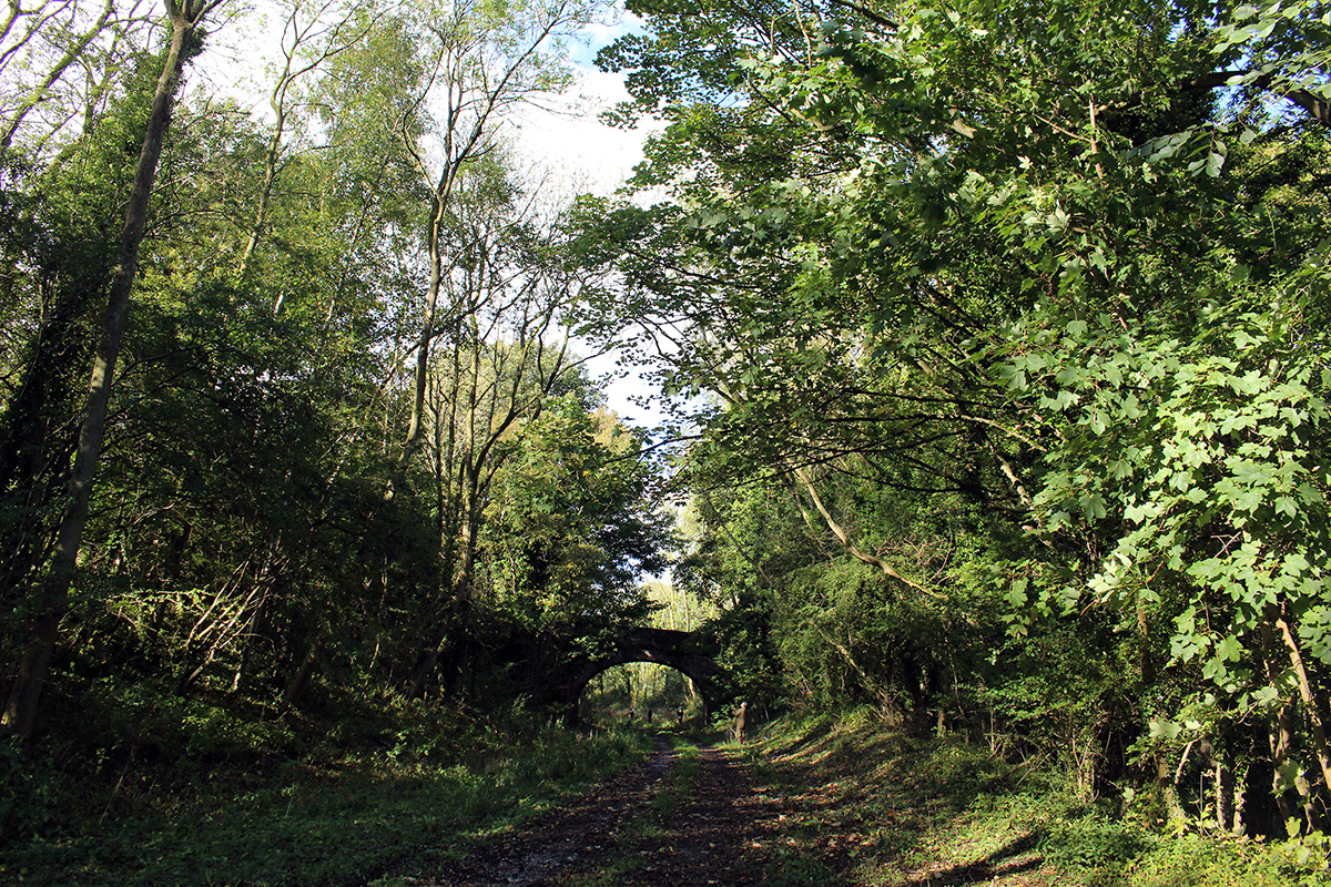 Gallery | Storwood Game | Game Bird Breeders | Everingham Park | York ...